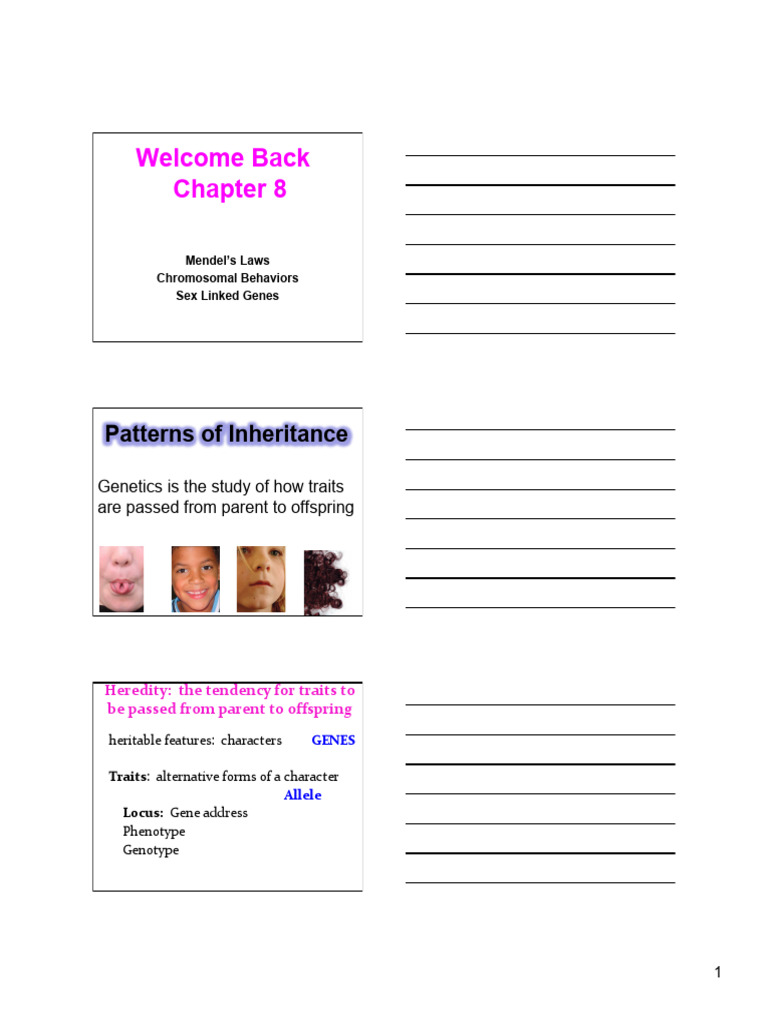 Mendelian Genetics and Inheritance Patterns | PDF | Dominance (Genetics ...