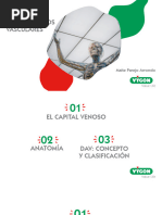 Metodo RaPeVA GAVeCeLT | PDF | Sistema cardiovascular | Sistema ...