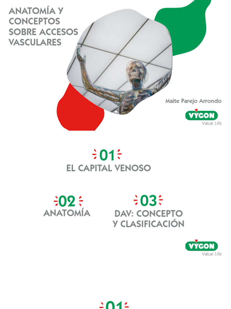 Modulo_1_-_Capital_venoso_y_anatom_a (1) | PDF | Vena | Artería