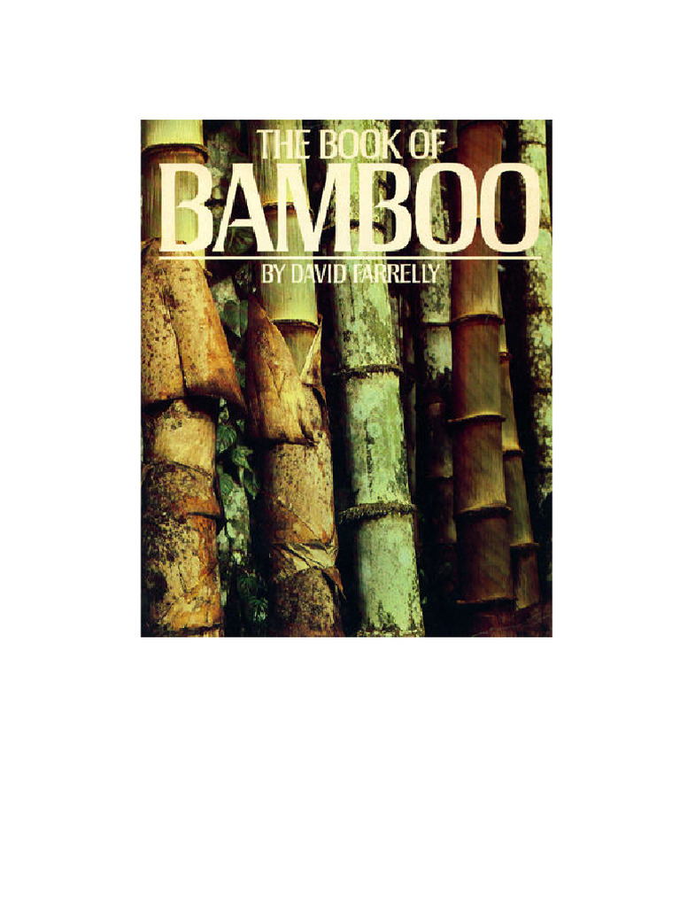 Bamboo ONE | PDF