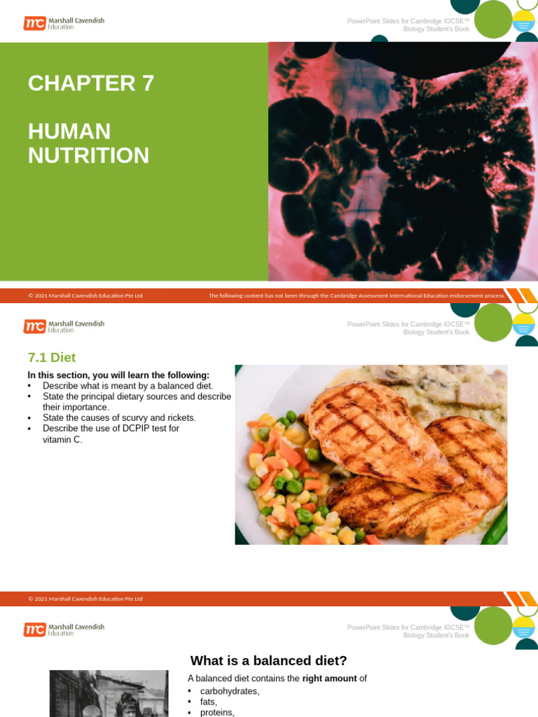 Mce Igcse Biology PPT c07 | PDF | Digestion | Stomach