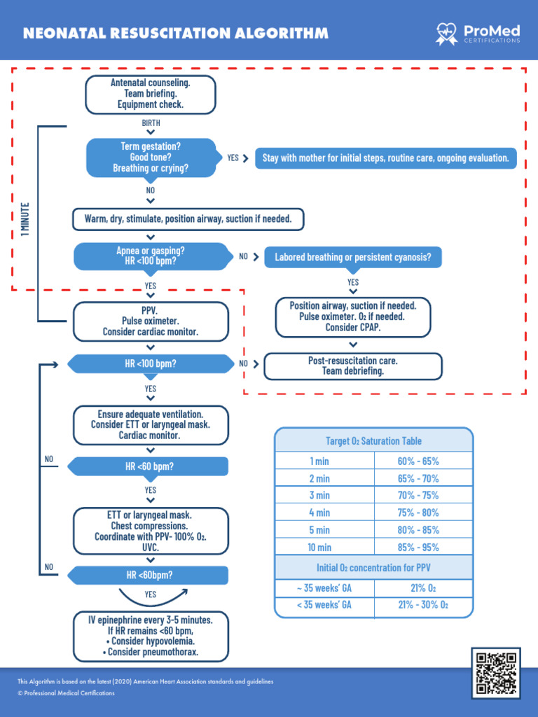 Updated NRP Algorithum | PDF | Medical Specialties | Pulmonology