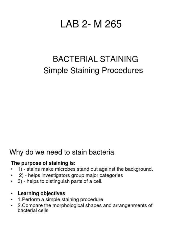 LAB 2-M 265: Bacterial Staining Simple Staining Procedures | PDF ...