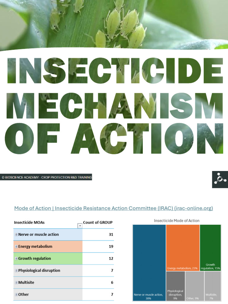 Insecticide Mechanisms of Action-1 | PDF | Acetylcholine | Synapse