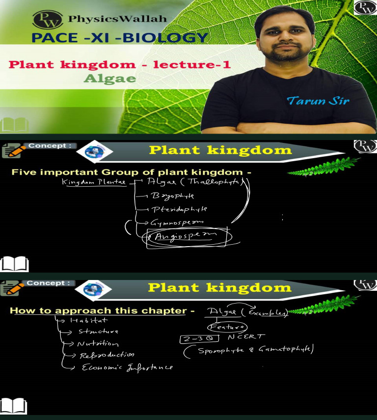 Plant Kingdom 01 - Algae - Class 11 - CBSE - NCERT - NEET - PACE SERIES | PDF