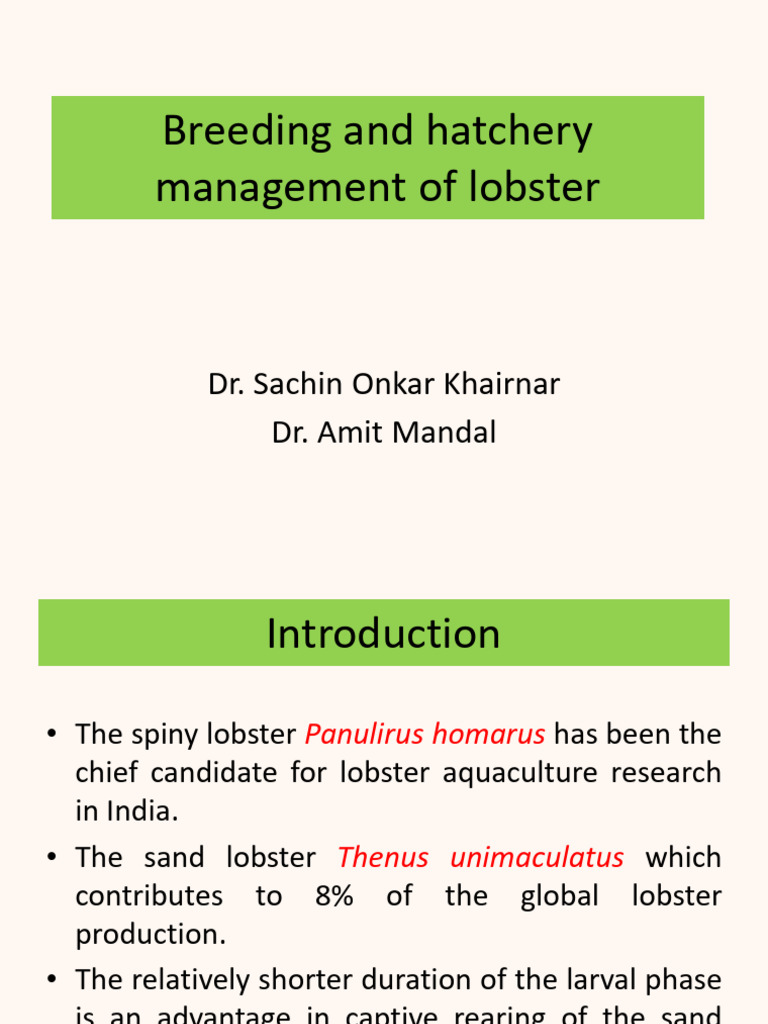Lobster Breeding and Hatchery Management | PDF | Fishing Industry ...