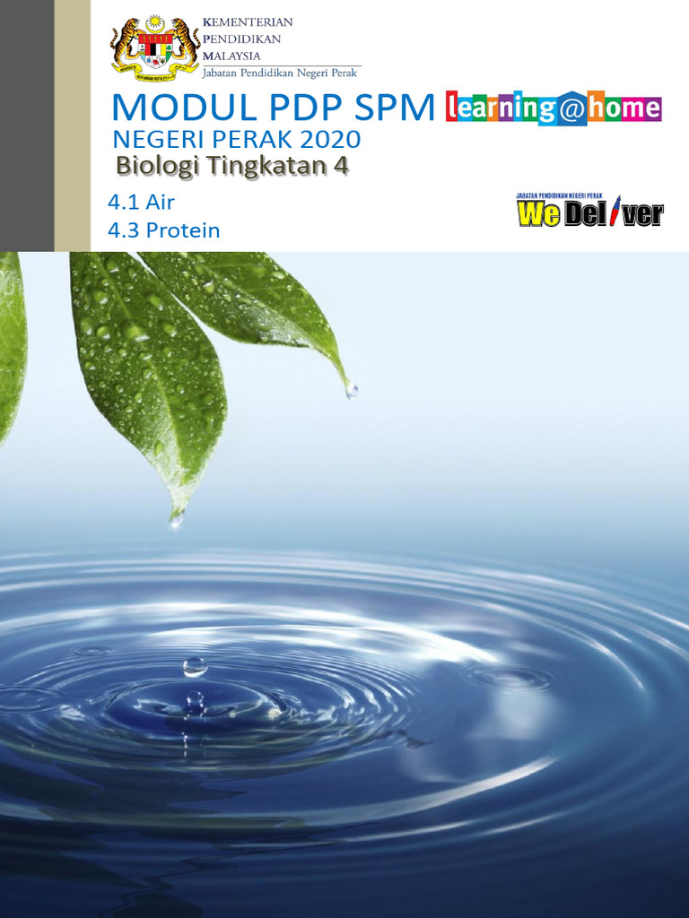 Biot4 4.1&4.3 Air & Protein (BM) | PDF