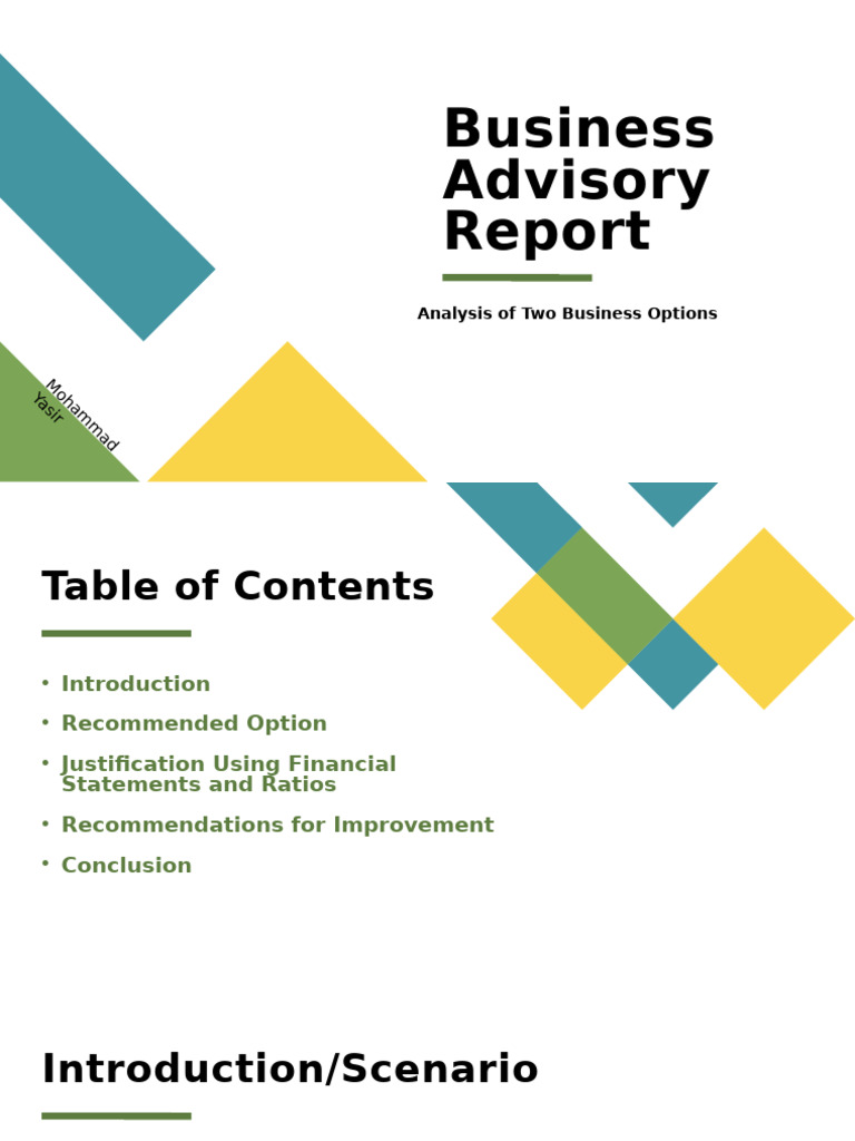 Advisory Report on Business Options | PDF