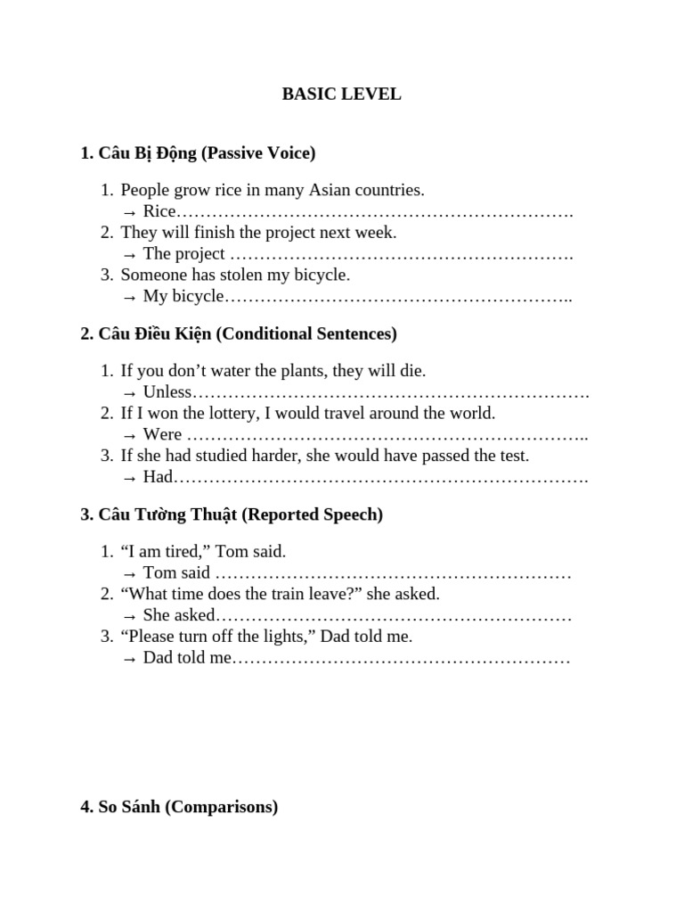 BASIC LEVEL - QUESTION | PDF