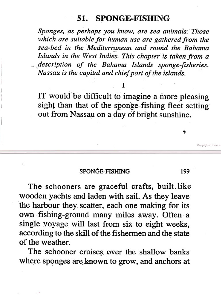 Sponge Fishing Text | PDF