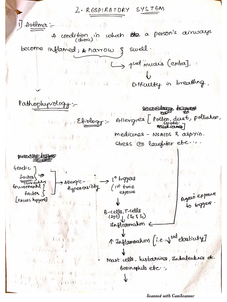 2.respiratory System | PDF