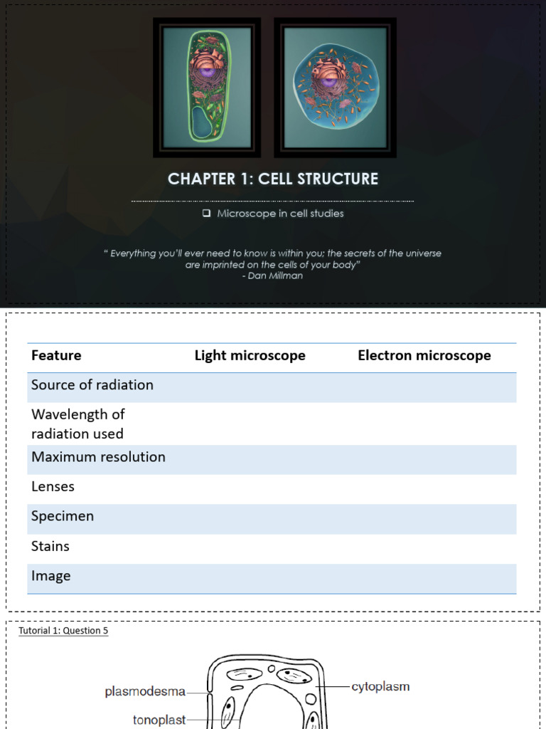 Cell Structure and Microscope Techniques | PDF | Microscope | Lenses