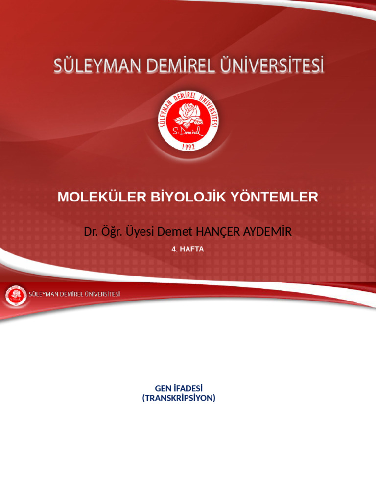 Moleküler biyo 4 | PDF