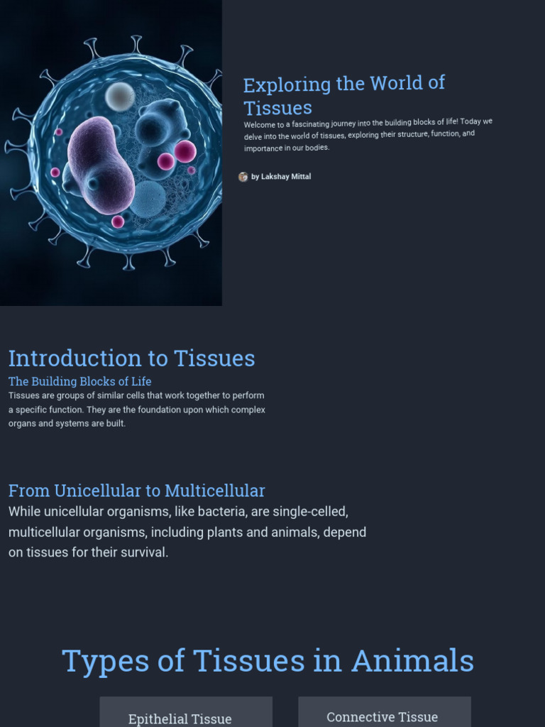 Introduction to Tissues by Lakshay Mittal | PDF | Nervous System ...