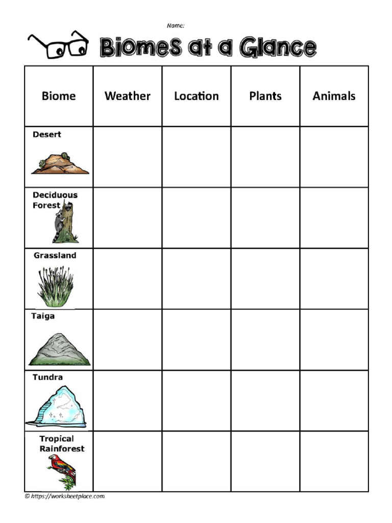 Biome Graphic Organizer | PDF