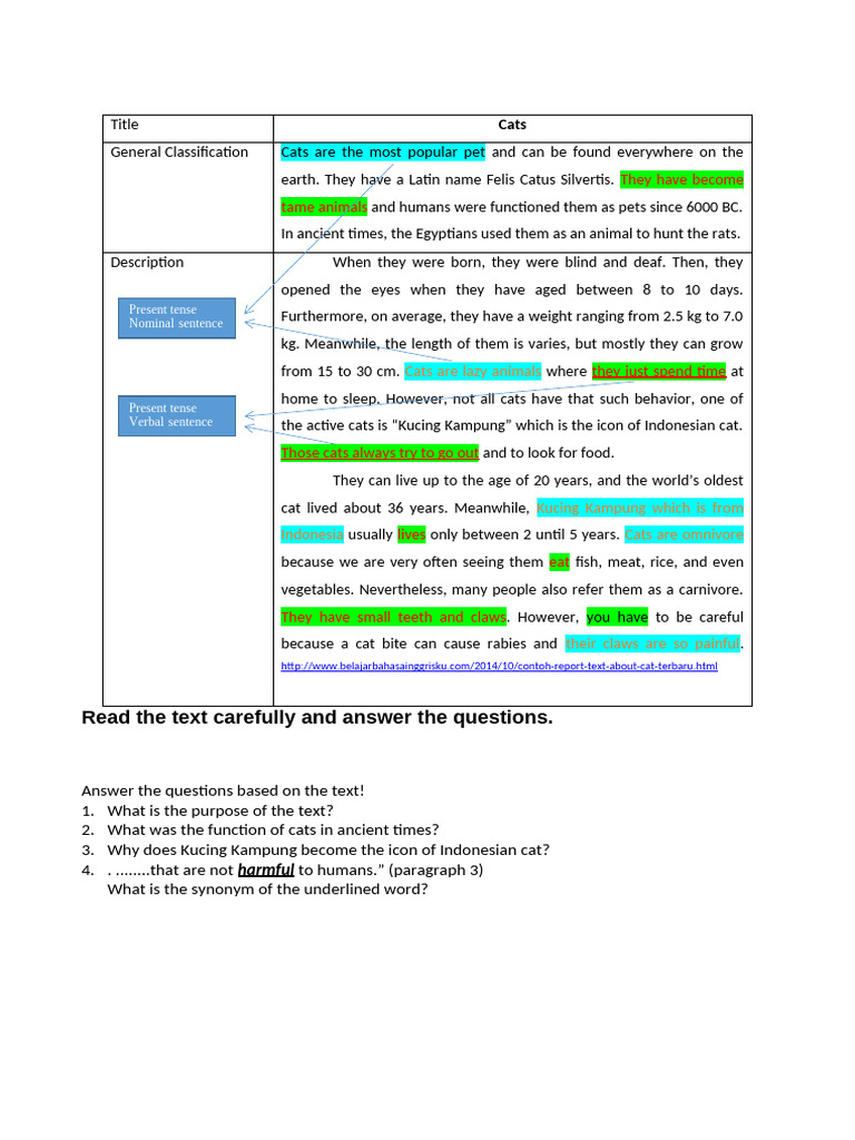 Reading Practice Report Text | PDF | Cats | Zoology