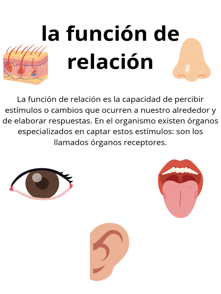 la funcion de relacion (1) | PDF