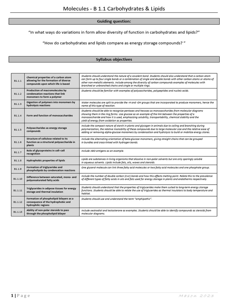 B 1.1 Carbohydrates and Lipids - Student Notes | PDF | Triglyceride ...