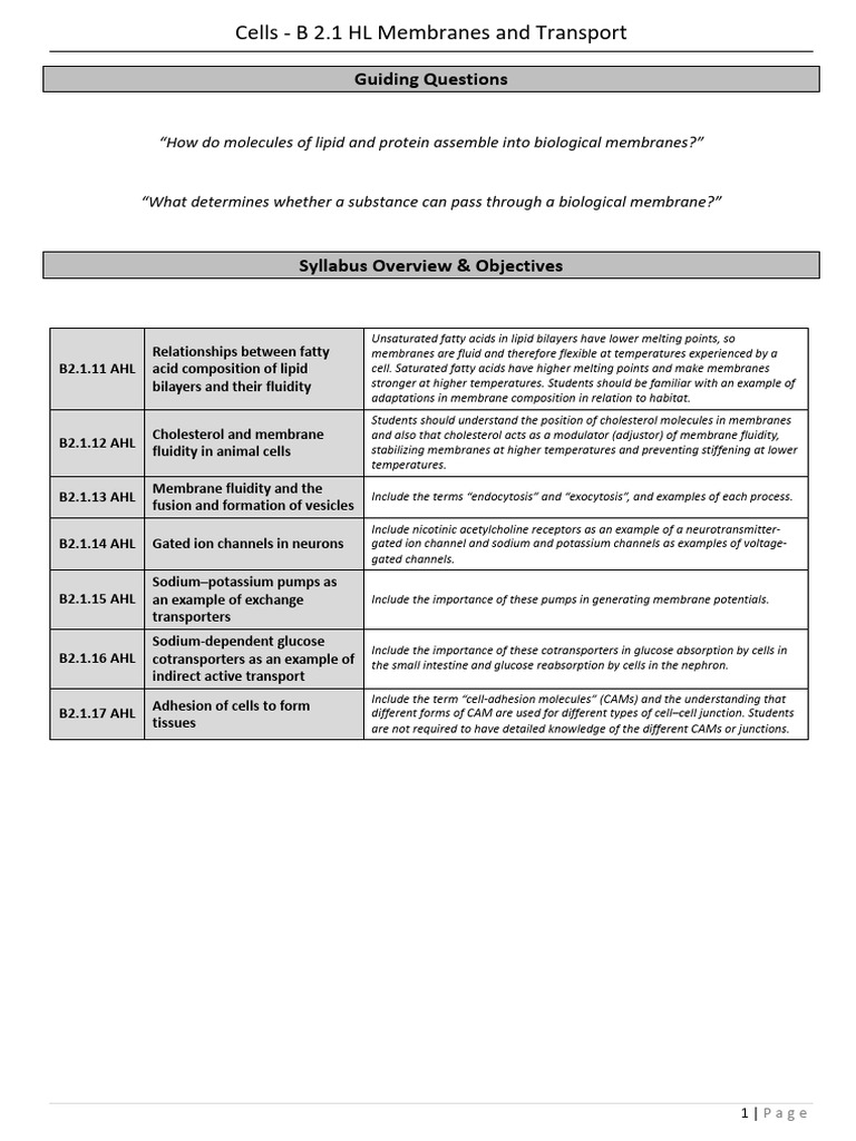 Membrane Structure and Transport Mechanisms | PDF | Cell Membrane | Ion ...