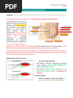 Incisión de Pfannenstiel: Técnica y Aplicaciones | PDF | Pelvis | Vagina