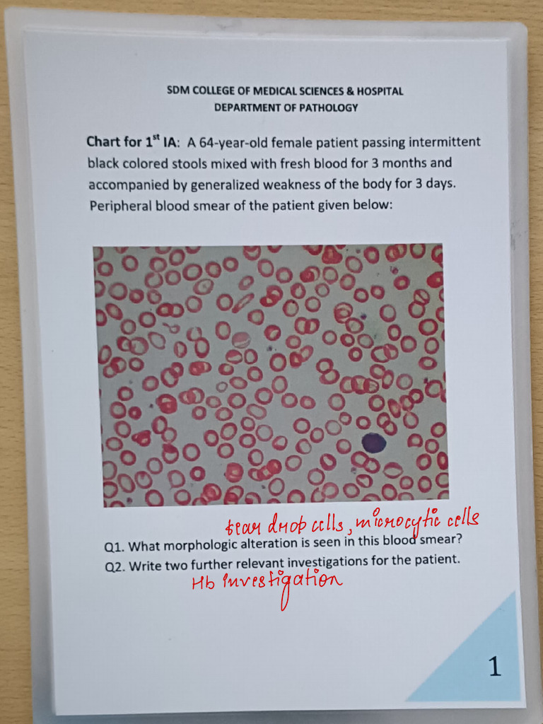 Pathology Practicals | PDF