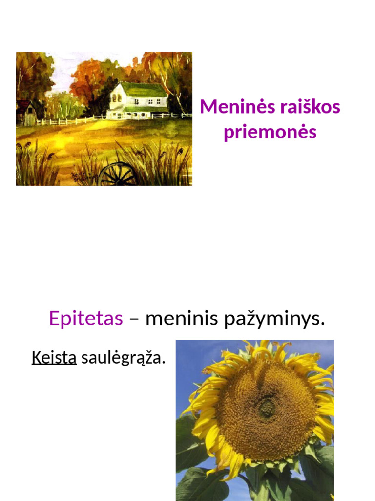 Menines Raiskos Priemones | PDF