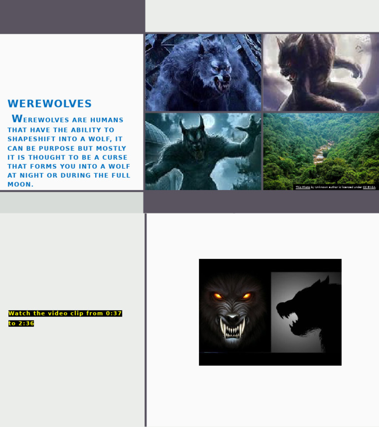 Werewolf Presentation | PDF