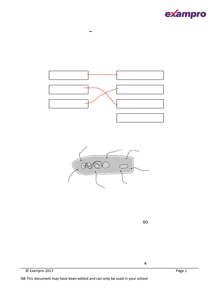 Infection and Response Biology Overview | PDF | Virus | Antibody