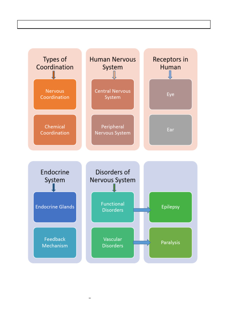 bio 12 | PDF | Nervous System | Axon