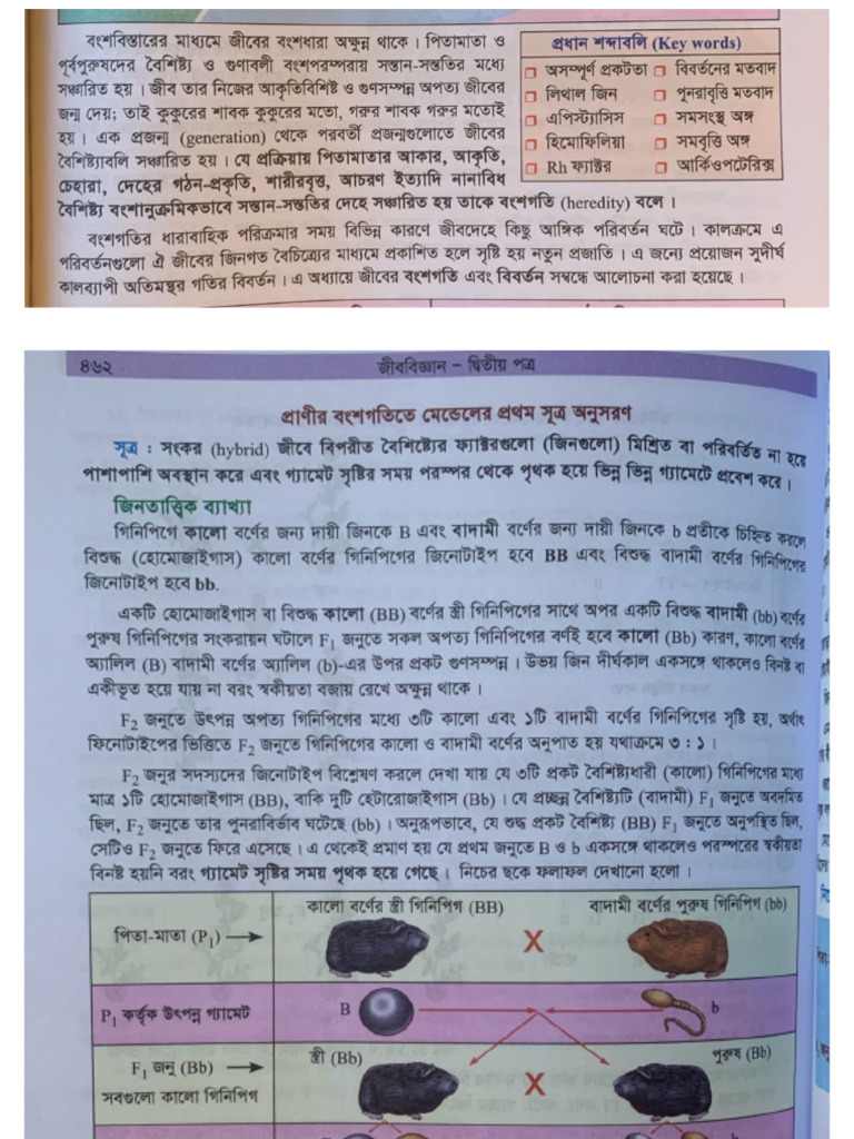 Genetics and Evolution. | PDF