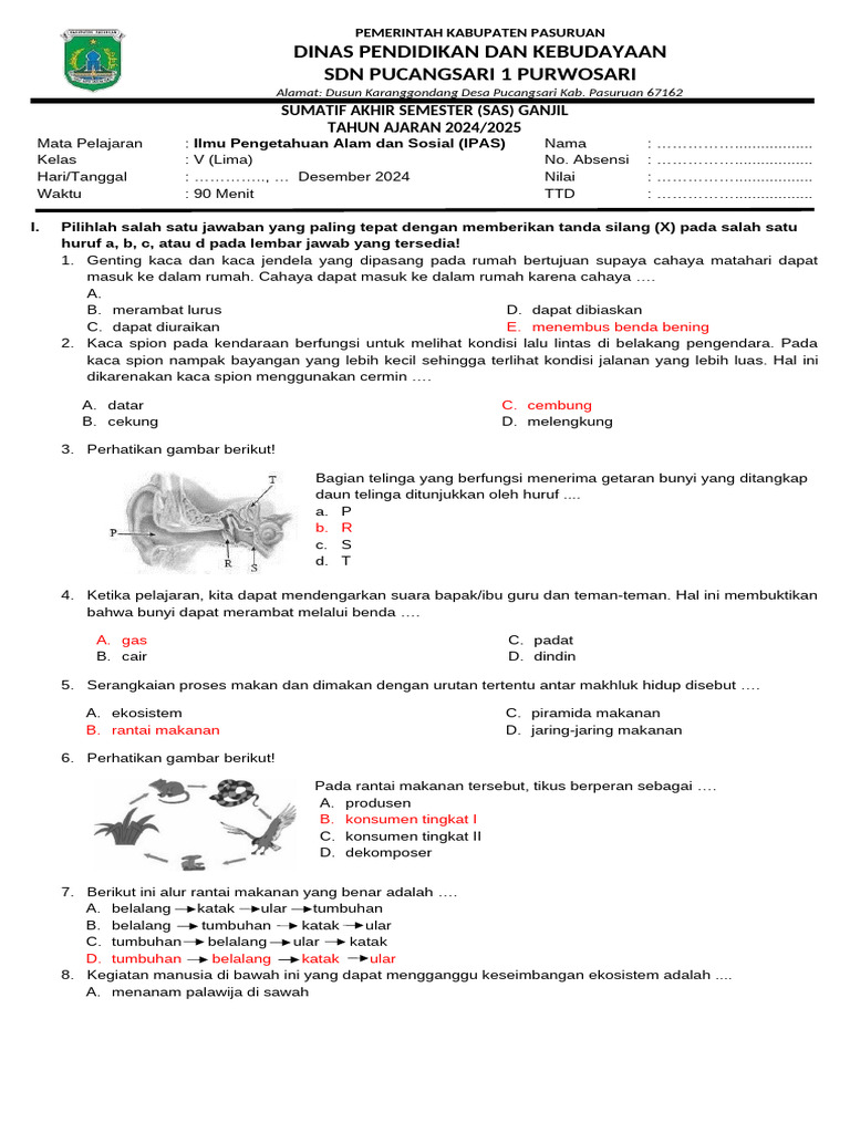 Sas 1 Ipas Tp. 2024-2025 | PDF