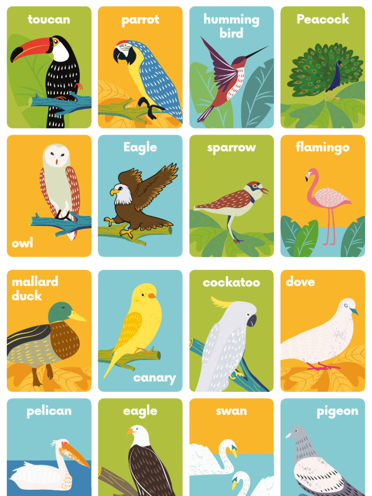 Birds Green and Yellow Flashcard Sheets - 20240420 - 103907 - 0000 | PDF