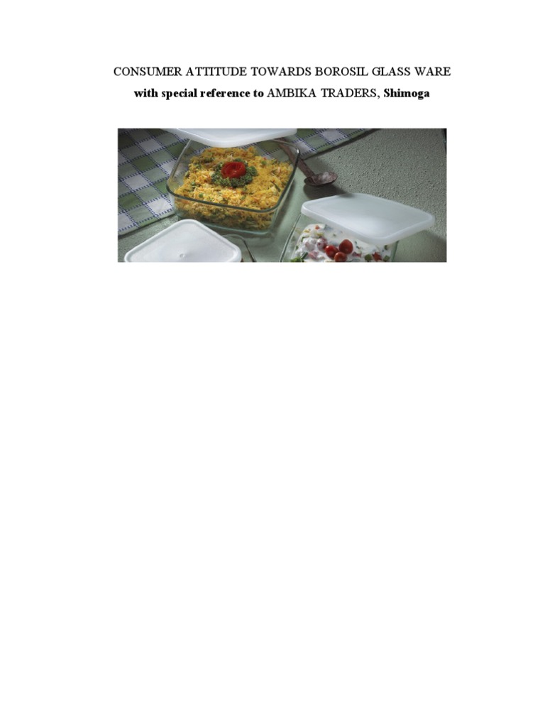 BOROSIL Glassware | PDF | Consumer Behaviour | Dividend