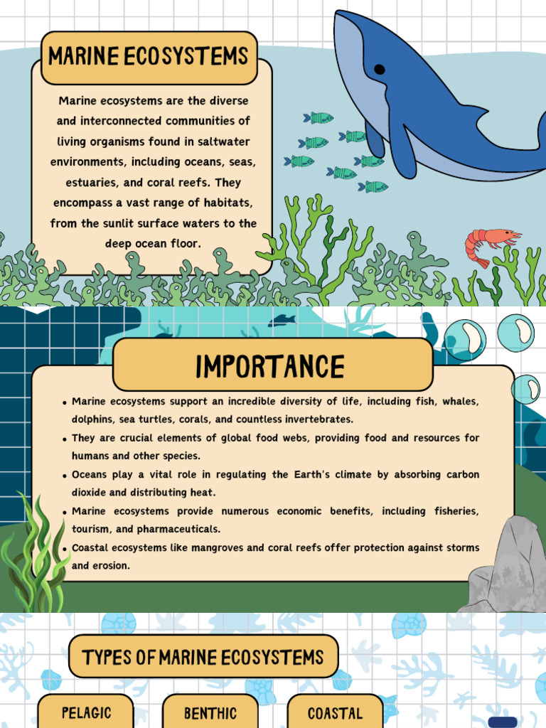 Ecosystems and Biomes Lesson Presentation in An Illustrative Style ...