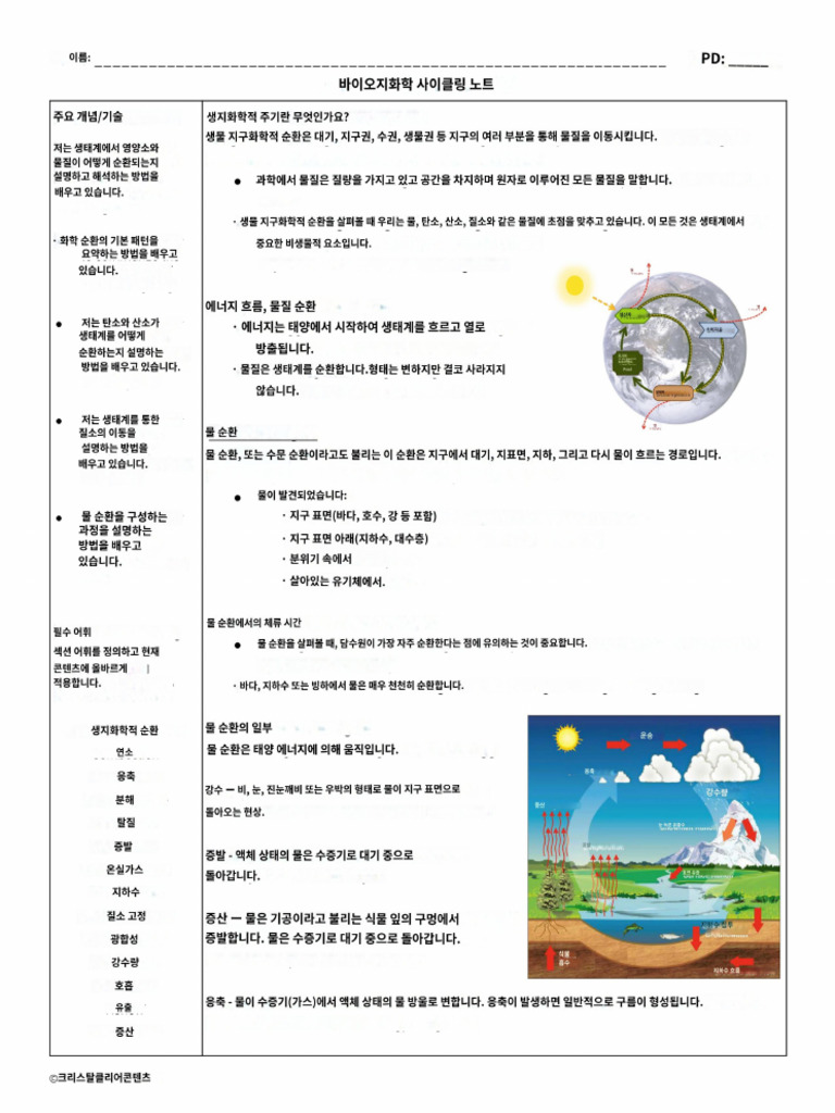 Biogeochemical Cycling Notes (Completed) - Ko (Translated) | PDF