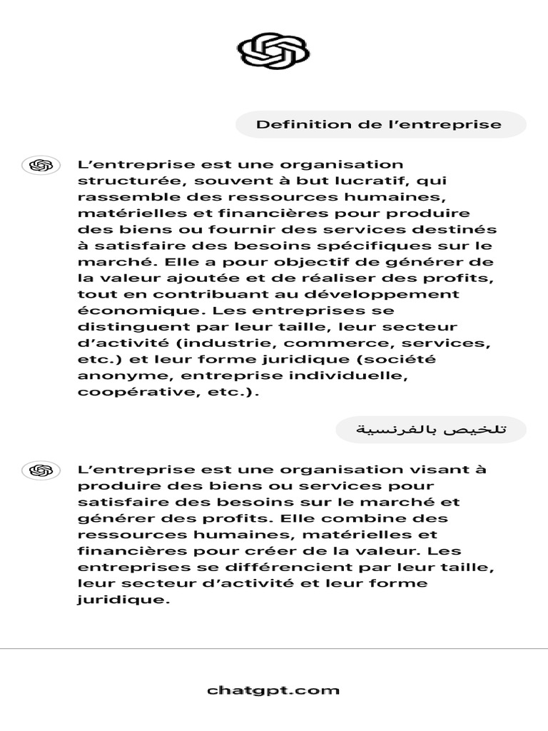 Définition de L'entreprise | PDF