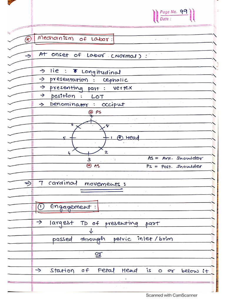 Mechanism of Labor-2 | PDF