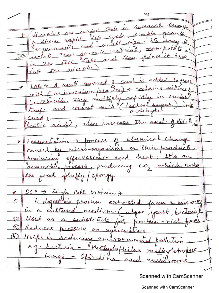 Bio Assignment Main Pdf 6960