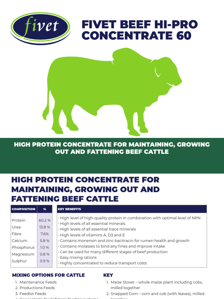 Fivet Beef Hi-Pro Concentrate 60 Guide | PDF | Maize | Flour