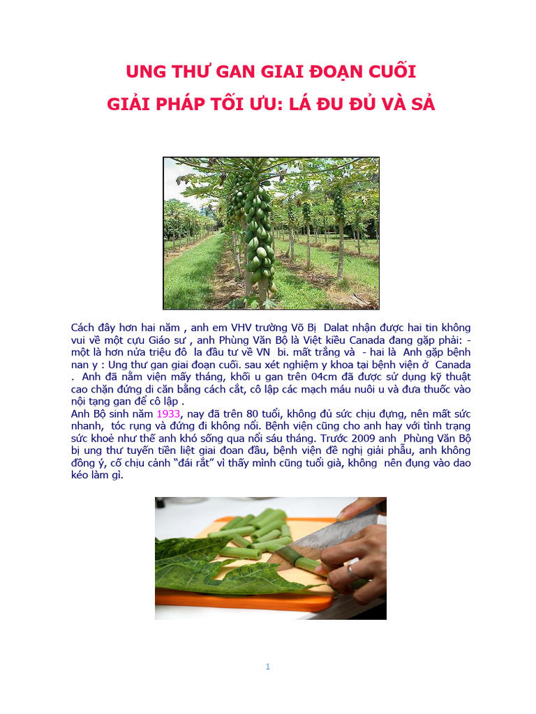 Bai Thuoc Nam Tri Ung Thu Gan | PDF