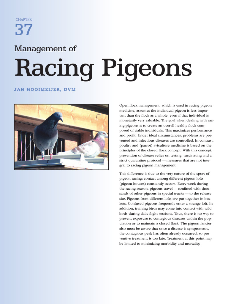 37_racing_pigeons | PDF | Infection | Mucus