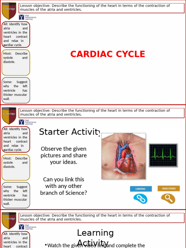 Understanding the Cardiac Cycle | PDF | Diastole | Ventricle (Heart)