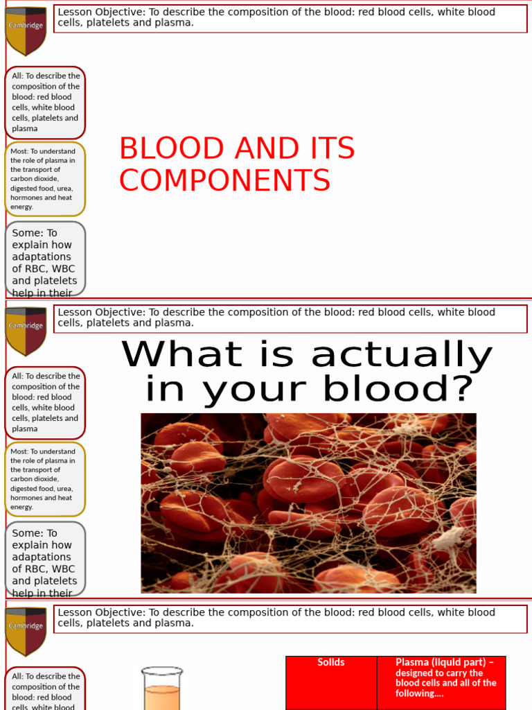Animal Transport - Blood | PDF | Blood | Red Blood Cell