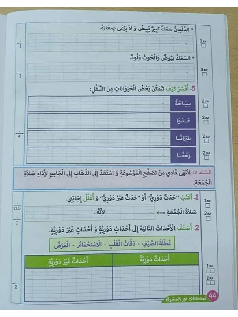 Nour | PDF