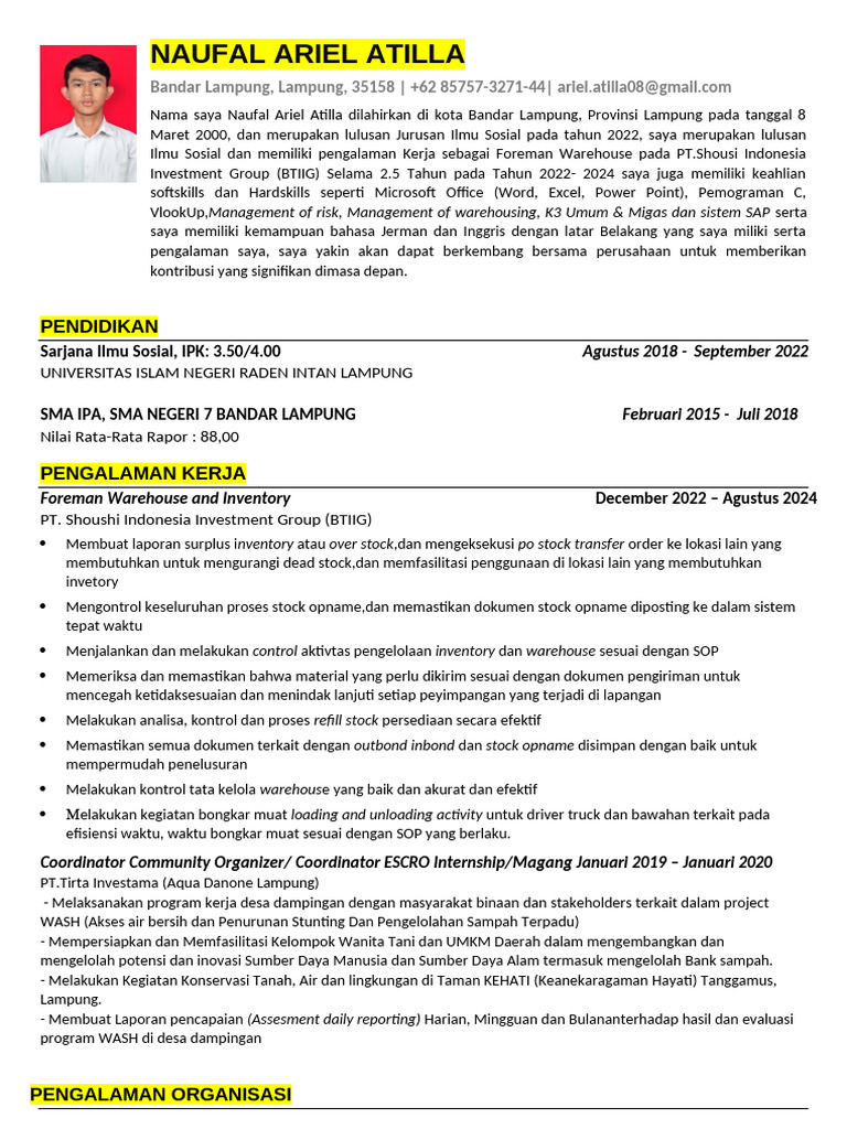 CV Ariel | PDF