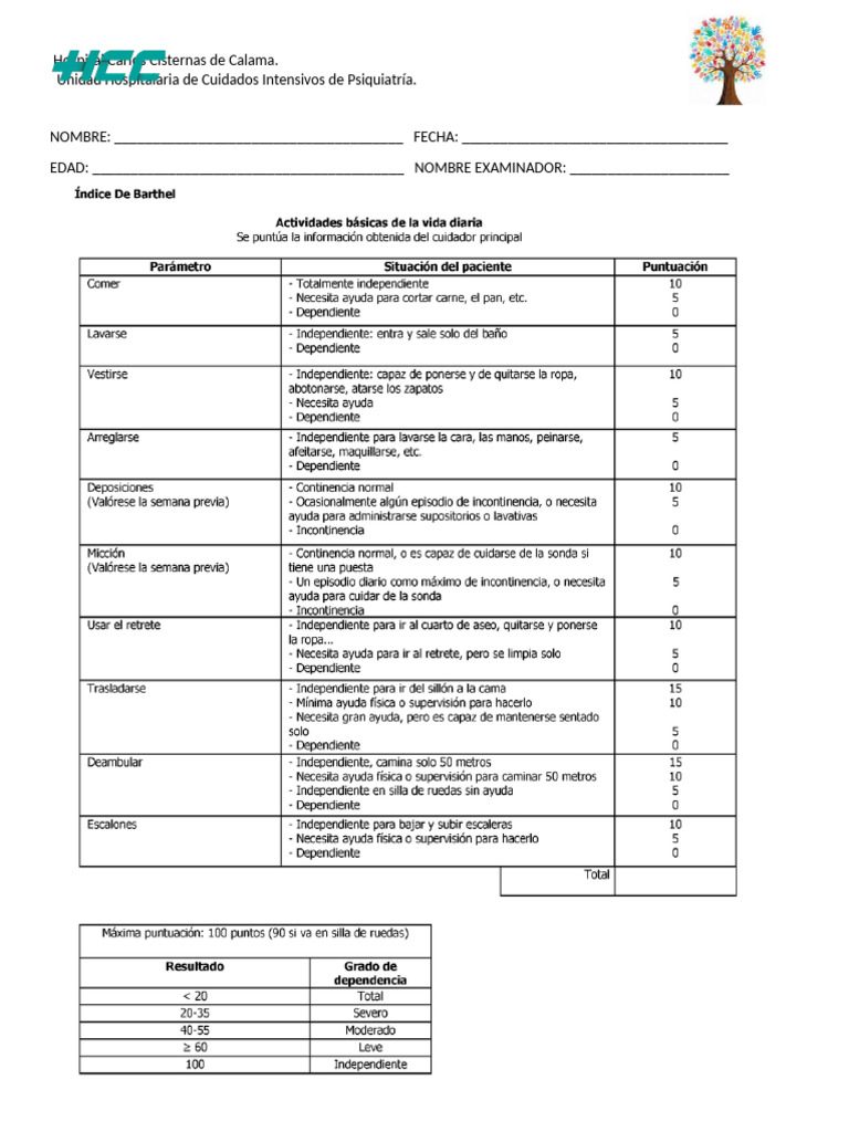 Indice de Barthel | PDF