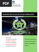 Organigramme Et Filiales de OCP | PDF