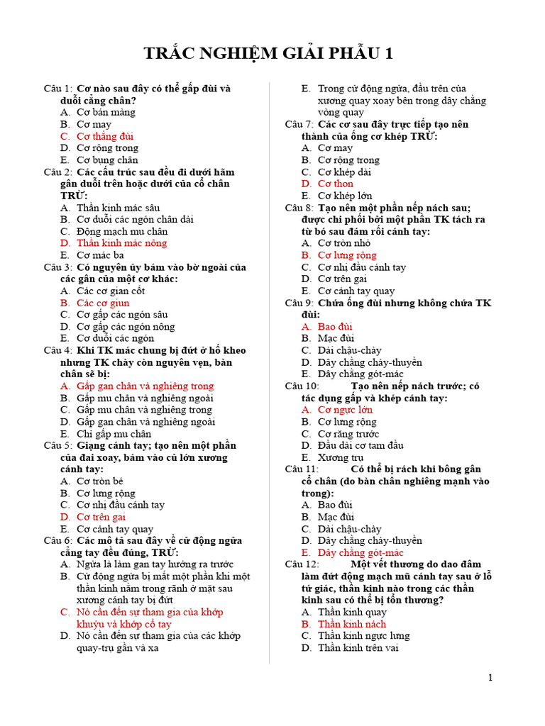 Trac Nghiem GP1 | PDF