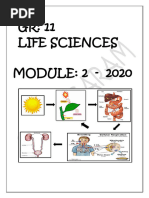 Life Sciences Gr11 Notes Photosynthesis | PDF | Photosynthesis ...