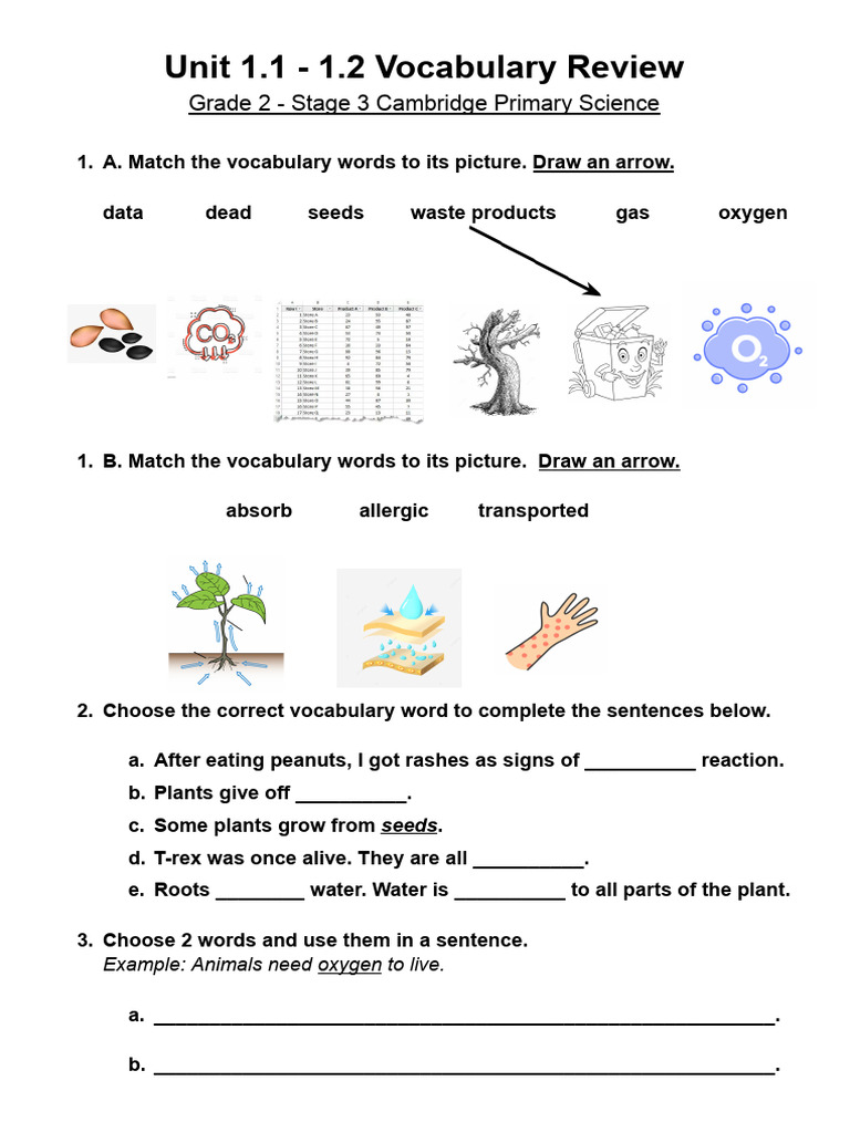 Unit 1.1 and 1.2 Vocabulary and Topic Review | PDF | Plants | Root